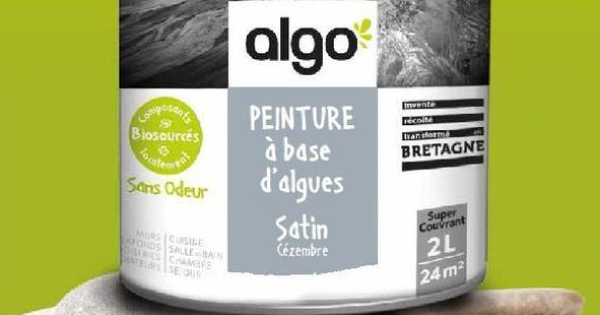 Algo Paint finalise une levée de fonds globale autour de 4 millions d'euros