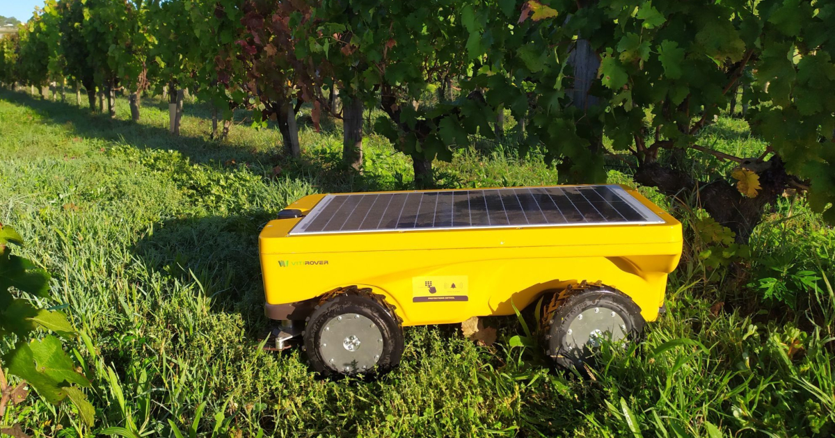 Vitirover industrialise son robot tondeur solaire avec MMT-B