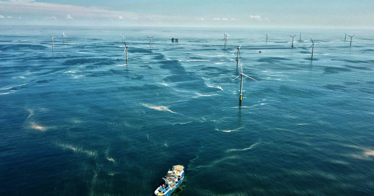 Quatre projets d'innovation autour du futur parc éolien au large d'Oléron