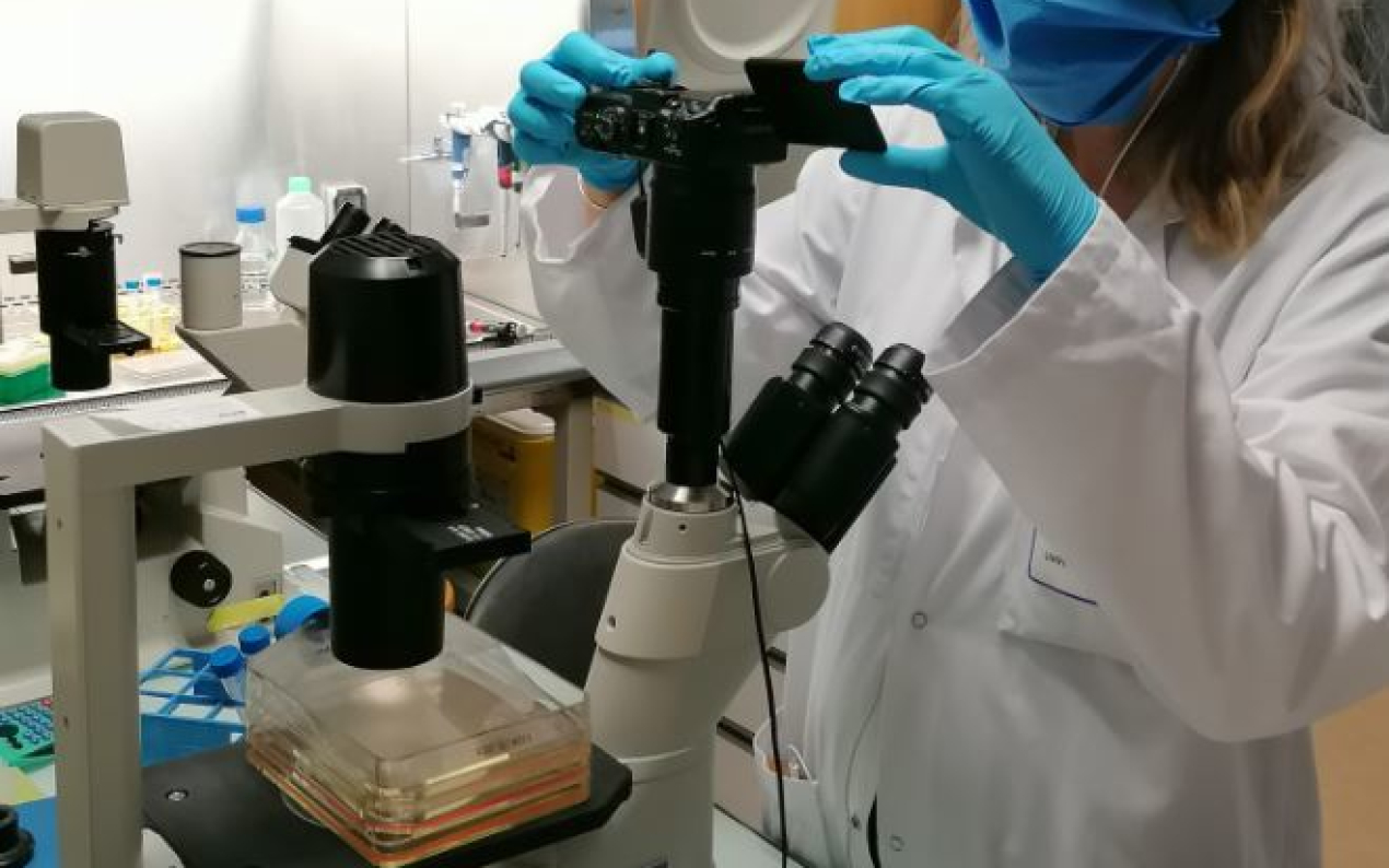 La biotech nantaise Xenothera annonce la fin de la seconde phase d ...