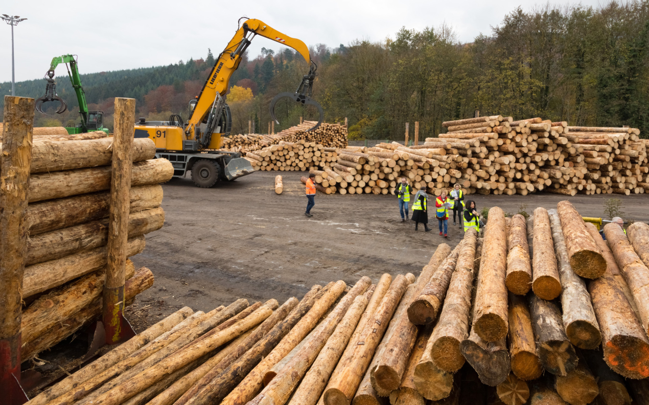 Le groupe Siat ouvre 60 postes dans la filière forêt-bois